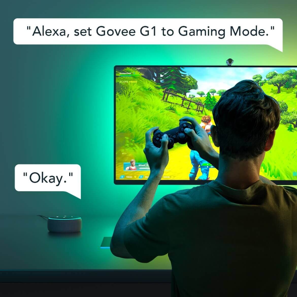 Govee DreamView G1 Gaming Light H604B | LamaN-Lighting